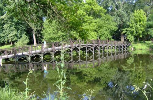 Lacul Buftea - Orasul Nostru - Album Foto - Buftea Noastra